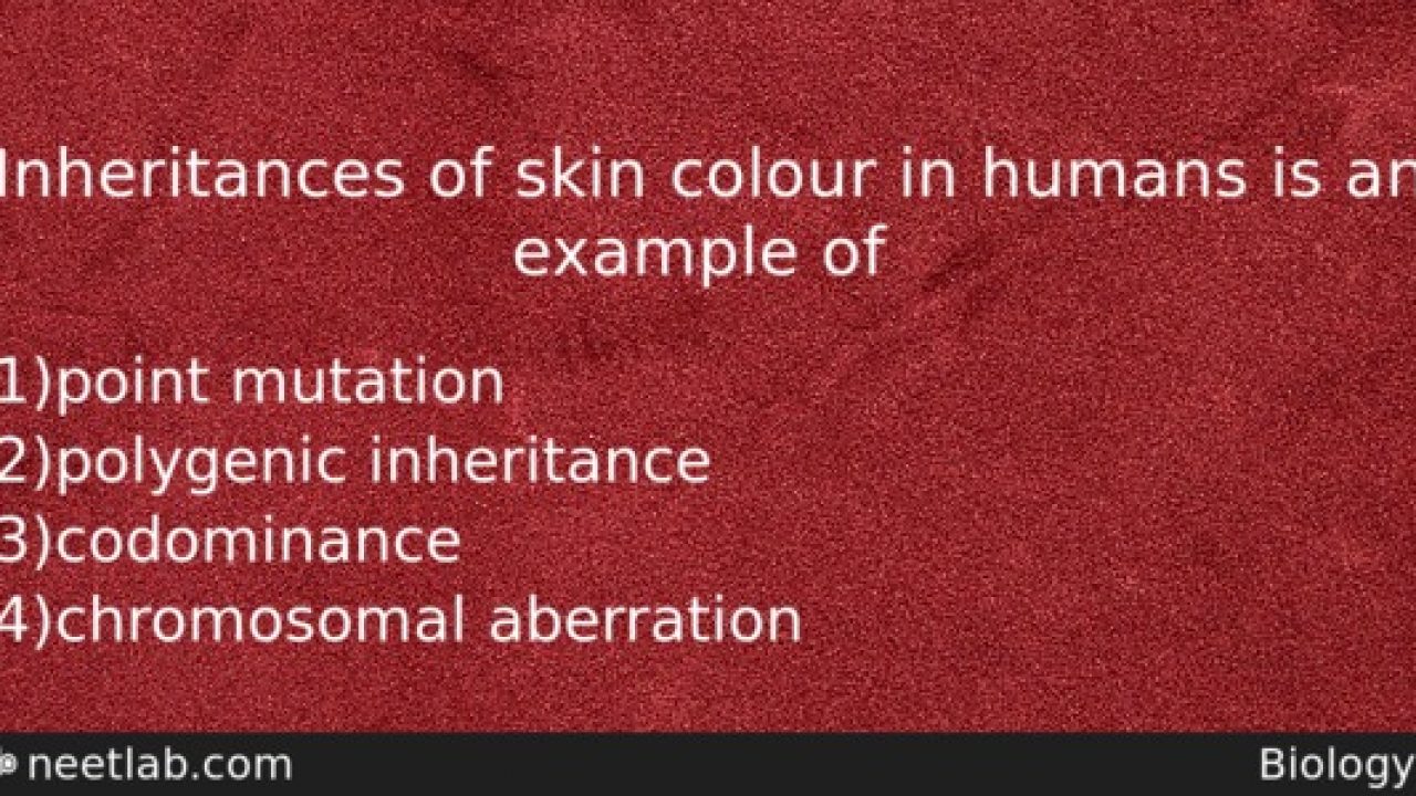 The Inheritance Of Skin Color In Humans - Infoupdate.org